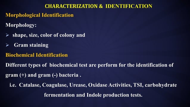 Microorganisms Cultivation Isolationpurification And Characterization
