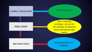 microorganisms cultivation, isolation,purification and characterization. | PPTX