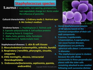 General microbiology | PPTX