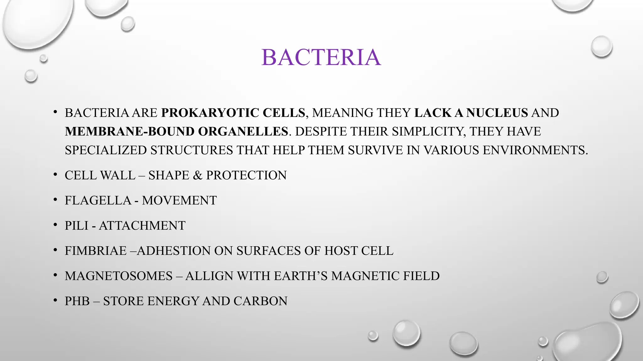 General microbiology-Microscope and its types, Classifications of ...
