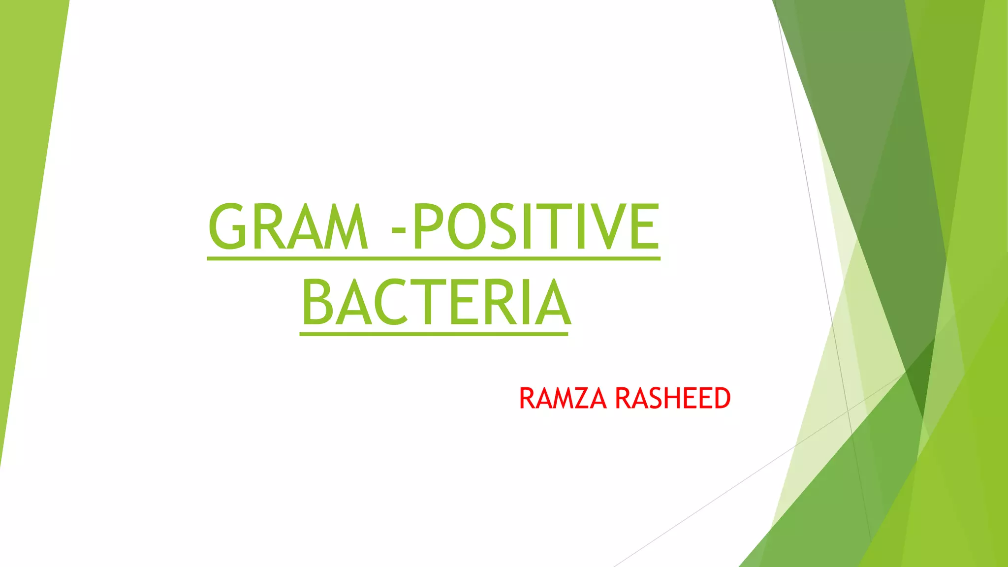 Gram positive bacteria | PPTX