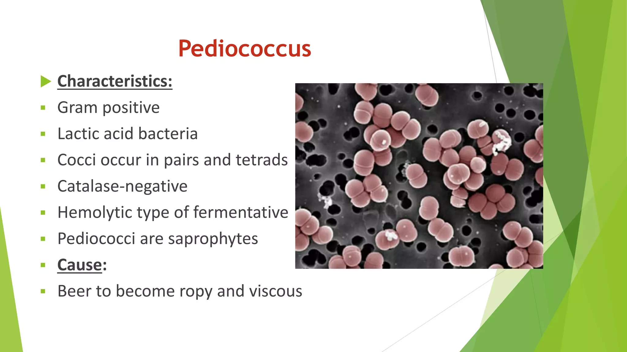 Gram positive bacteria | PPTX