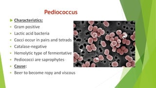 Gram positive bacteria | PPTX