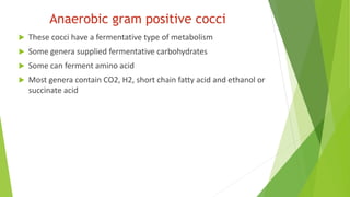 Gram positive bacteria | PPTX