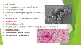 Gram positive bacteria | PPTX