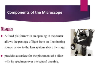 General Microbiology Section and bacteria | PPT