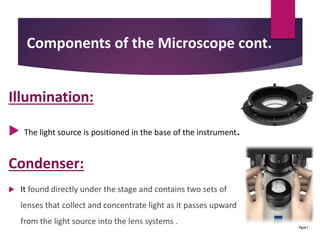 General Microbiology Section and bacteria | PPT