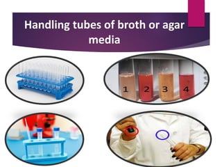 General Microbiology Section and bacteria | PPT