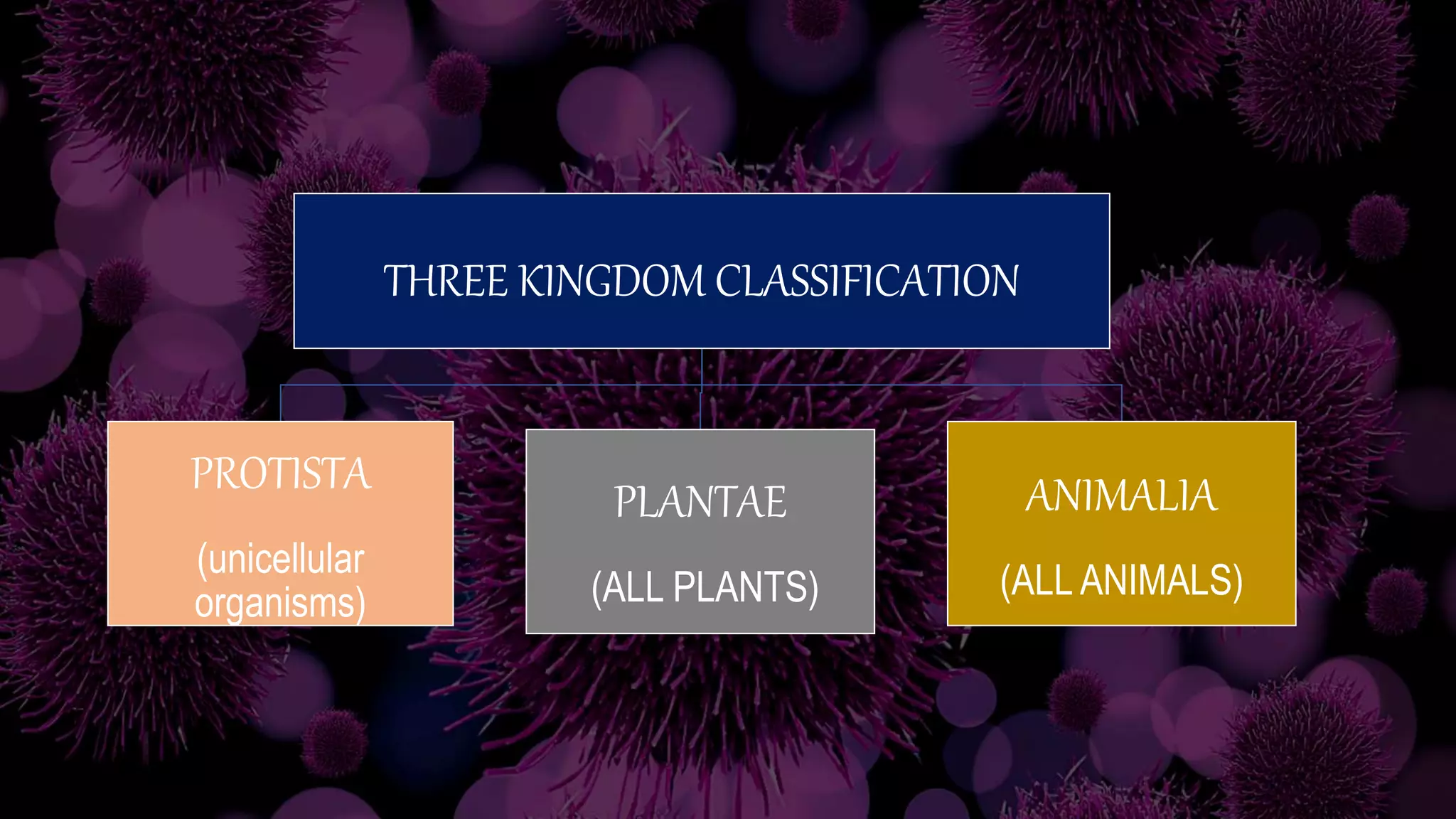 Binomial Classification | PPTX
