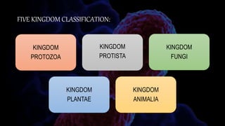 Binomial Classification | PPTX