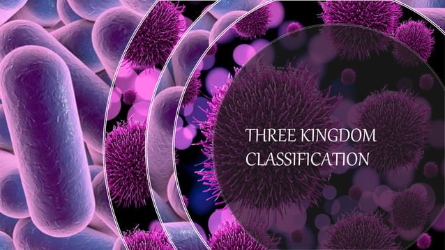 Binomial Classification | PPT