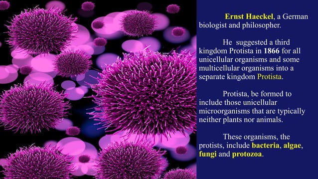 Binomial Classification | PPT