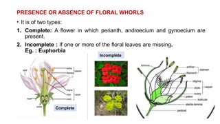 GENERAL MORPHOLOGY OF FLOWERS in .pptx