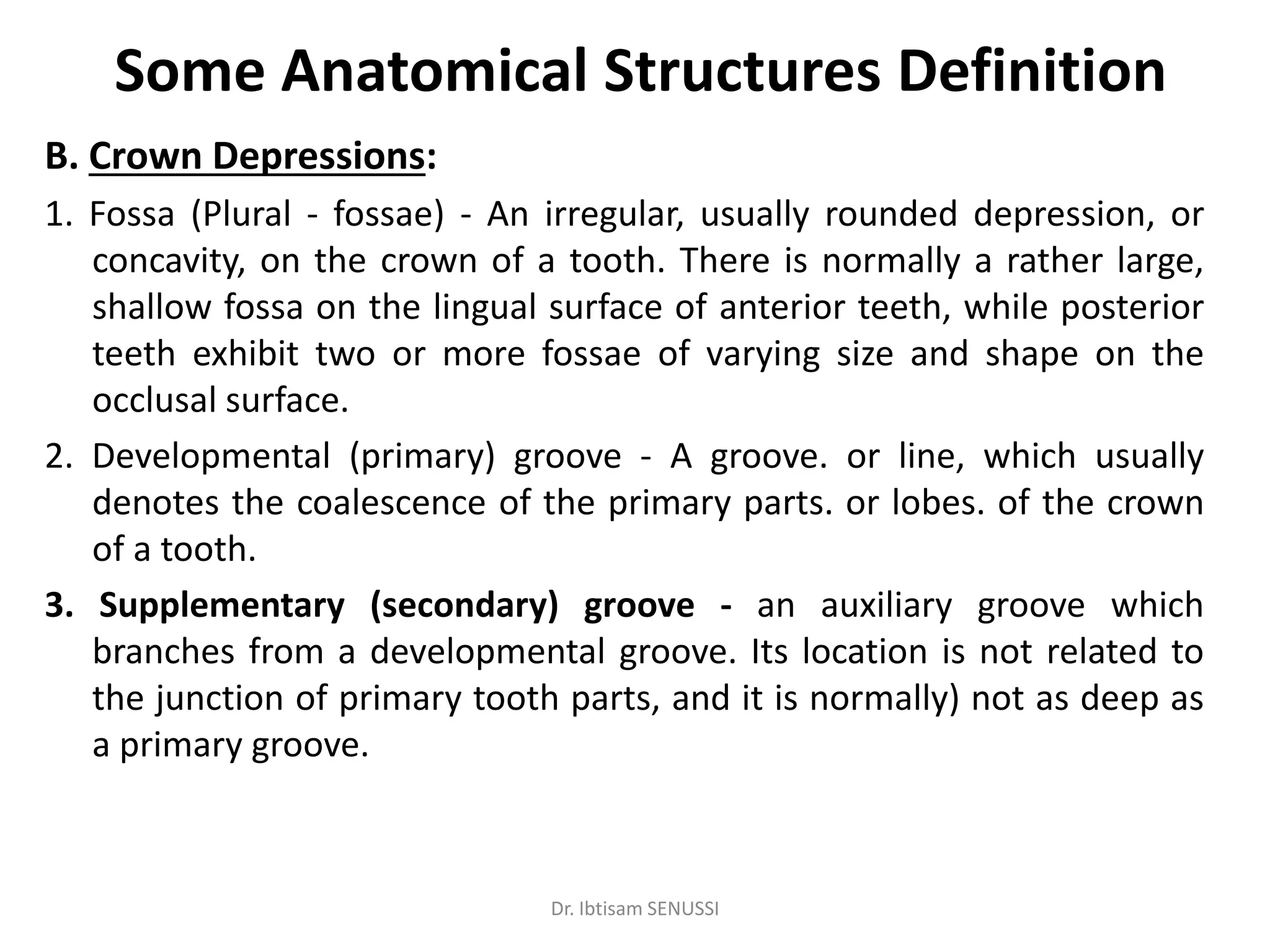 General oral and dental anatomy | PDF