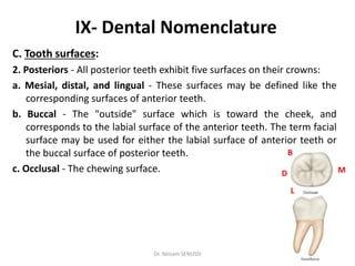 General oral and dental anatomy | PPT