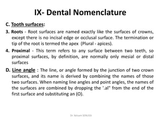 General oral and dental anatomy | PPT