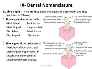 General oral and dental anatomy | PPT