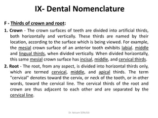 General oral and dental anatomy | PPT
