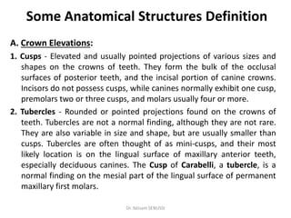 General oral and dental anatomy | PDF