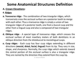 General oral and dental anatomy | PPT