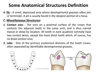 General oral and dental anatomy | PPT