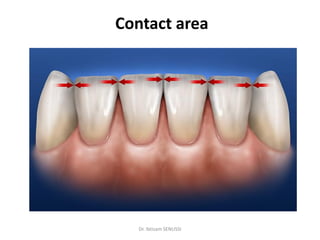 General oral and dental anatomy | PPT