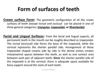 General oral and dental anatomy | PPT