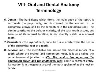 General oral and dental anatomy | PDF