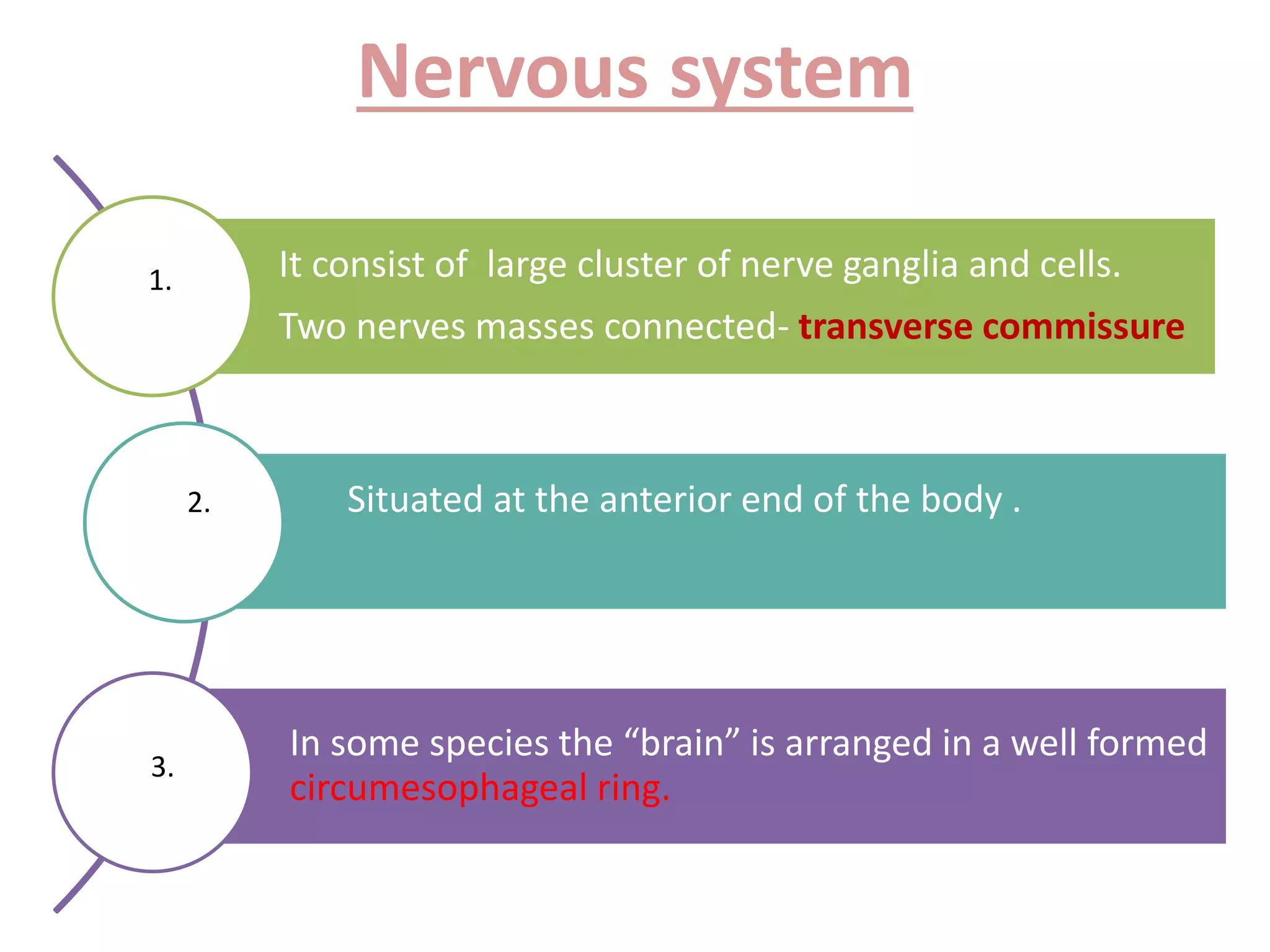 General organisatoon of monogenea | PPTX