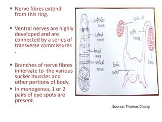General organisatoon of monogenea | PPTX