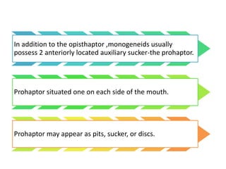 General organisatoon of monogenea | PPTX
