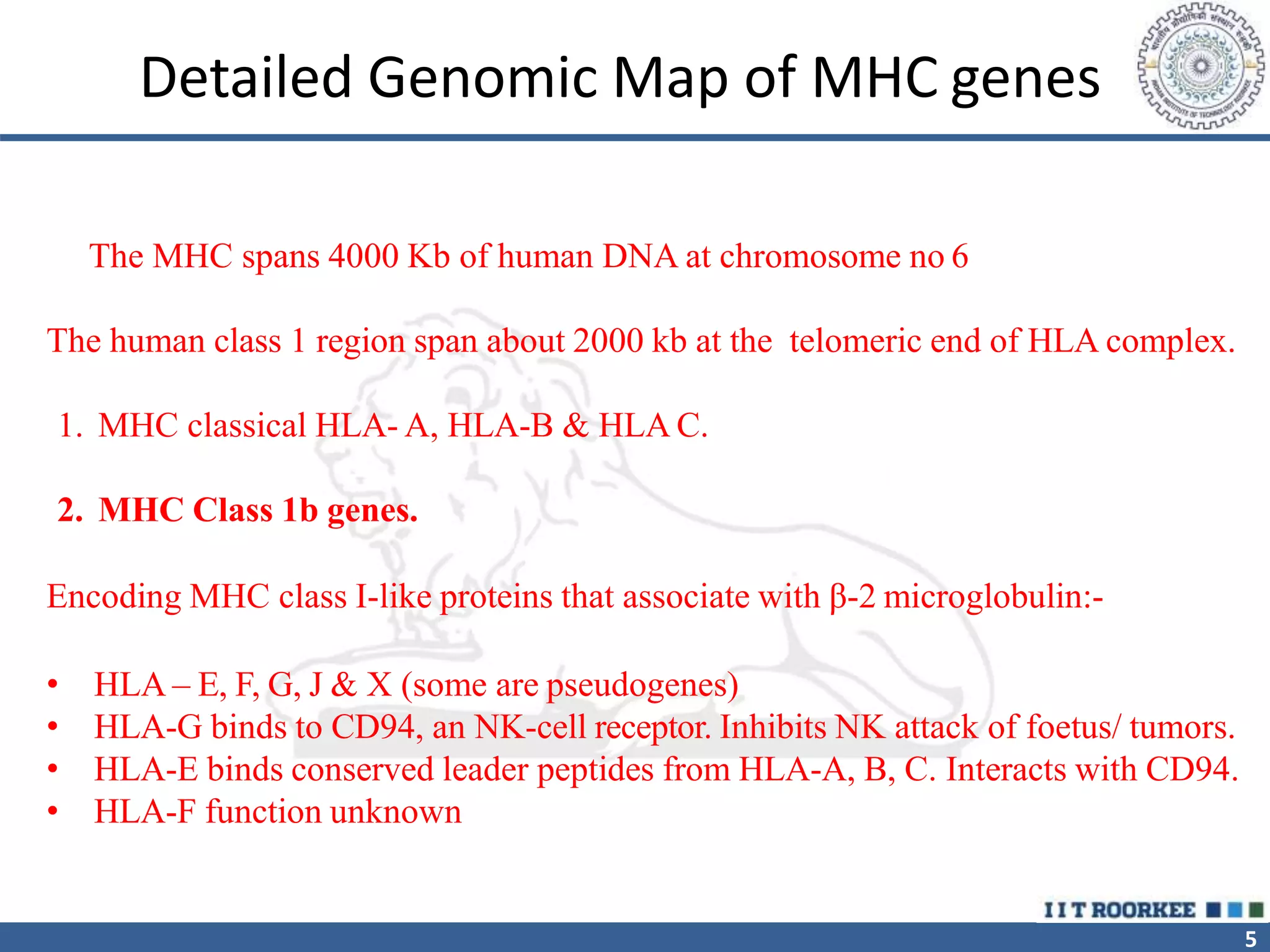 General organization and inheritance of MHC | PPTX