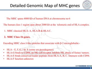 General organization and inheritance of MHC | PPTX