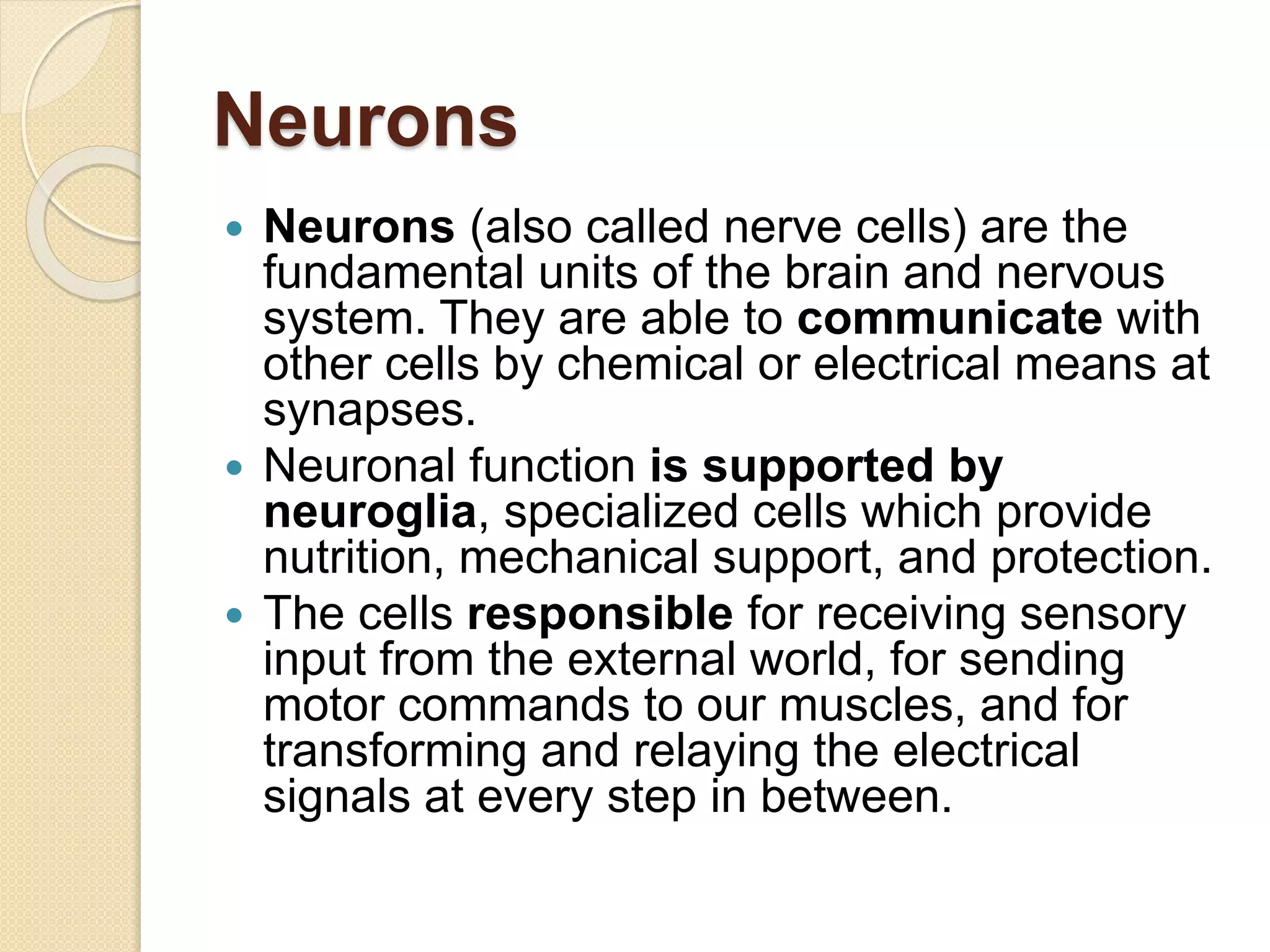 General organization of nervous system | PPTX
