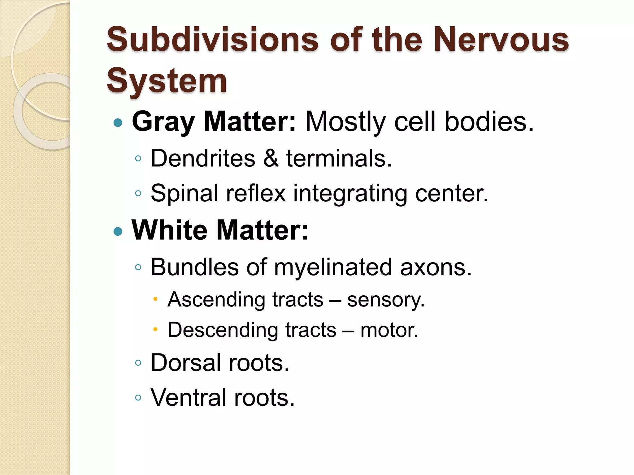 General organization of nervous system | PPTX