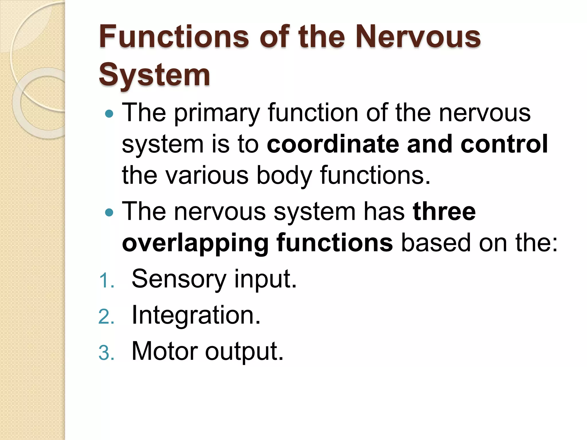 General organization of nervous system | PPTX