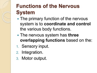 General organization of nervous system | PPTX