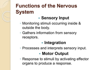 General organization of nervous system | PPTX