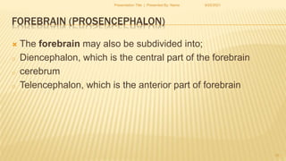 General organization of ns | PPT