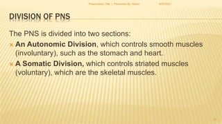 General organization of ns | PPT