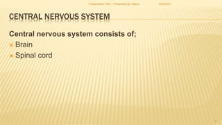 General organization of ns | PPT