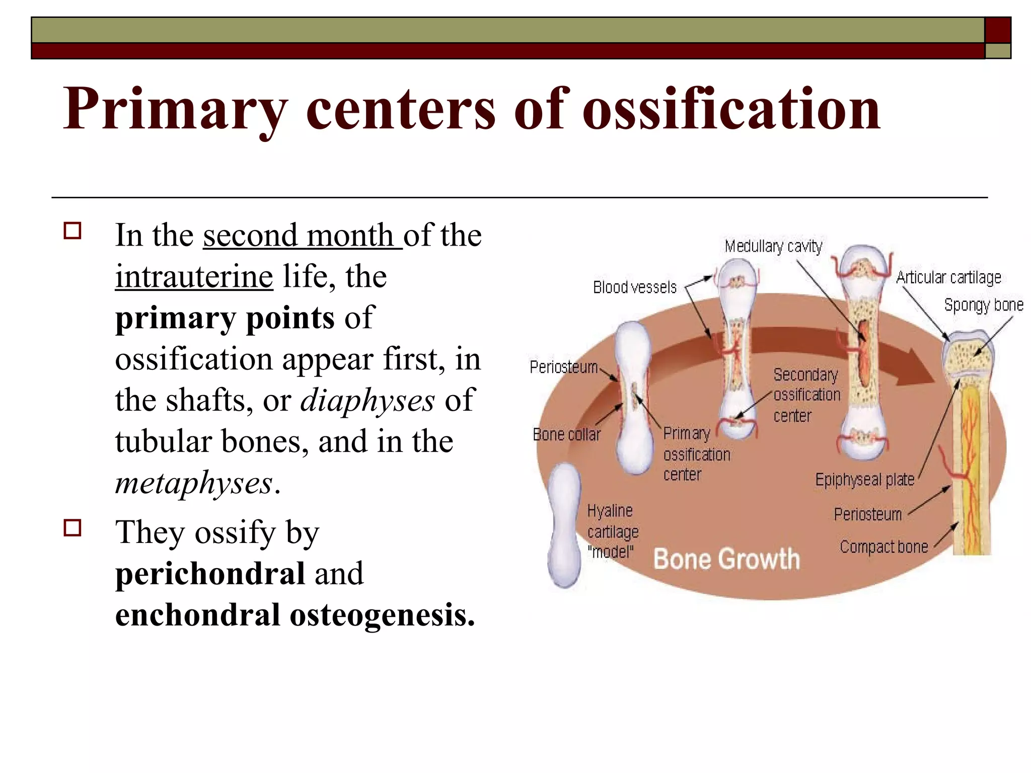 General osteology | PPT