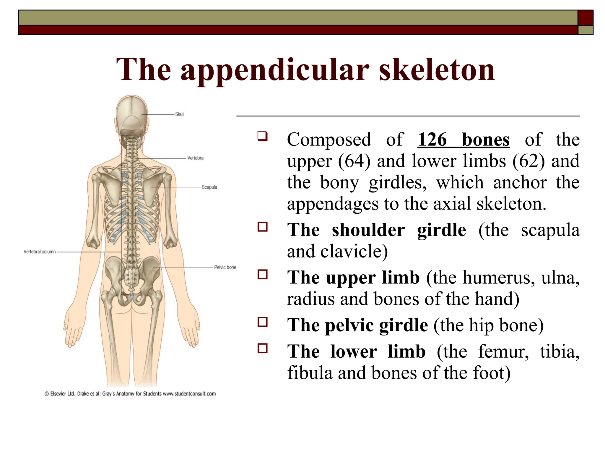 General osteology 2.ppt jhkjhjkhkjhkjkjhkjhkj | PPT