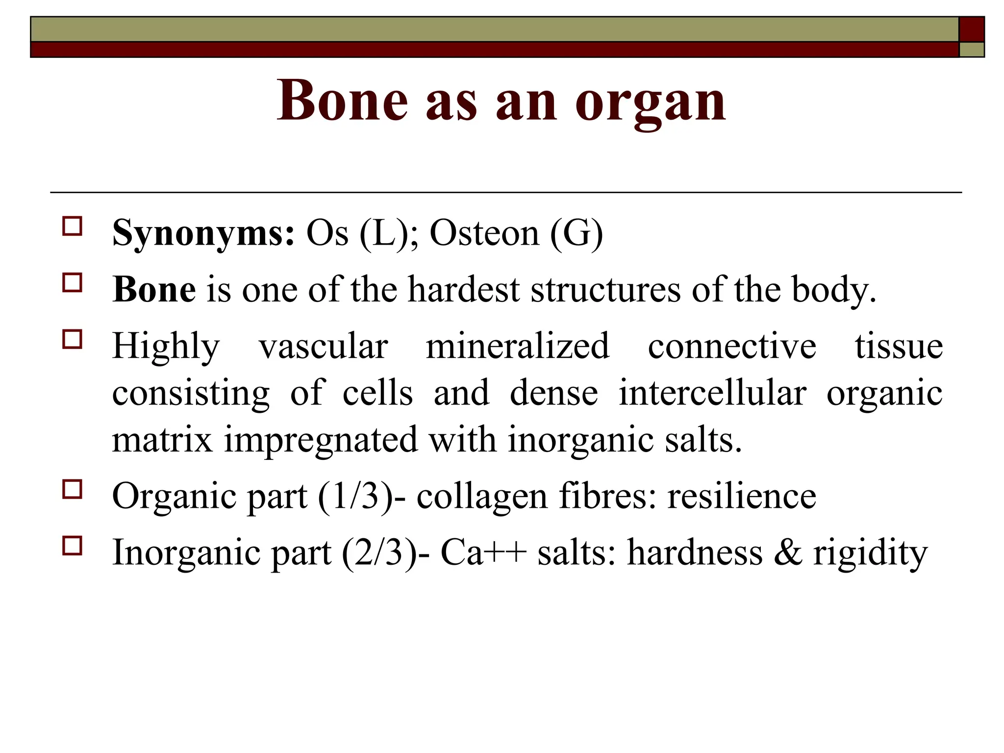 General osteology 2.ppt jhkjhjkhkjhkjkjhkjhkj | PPT