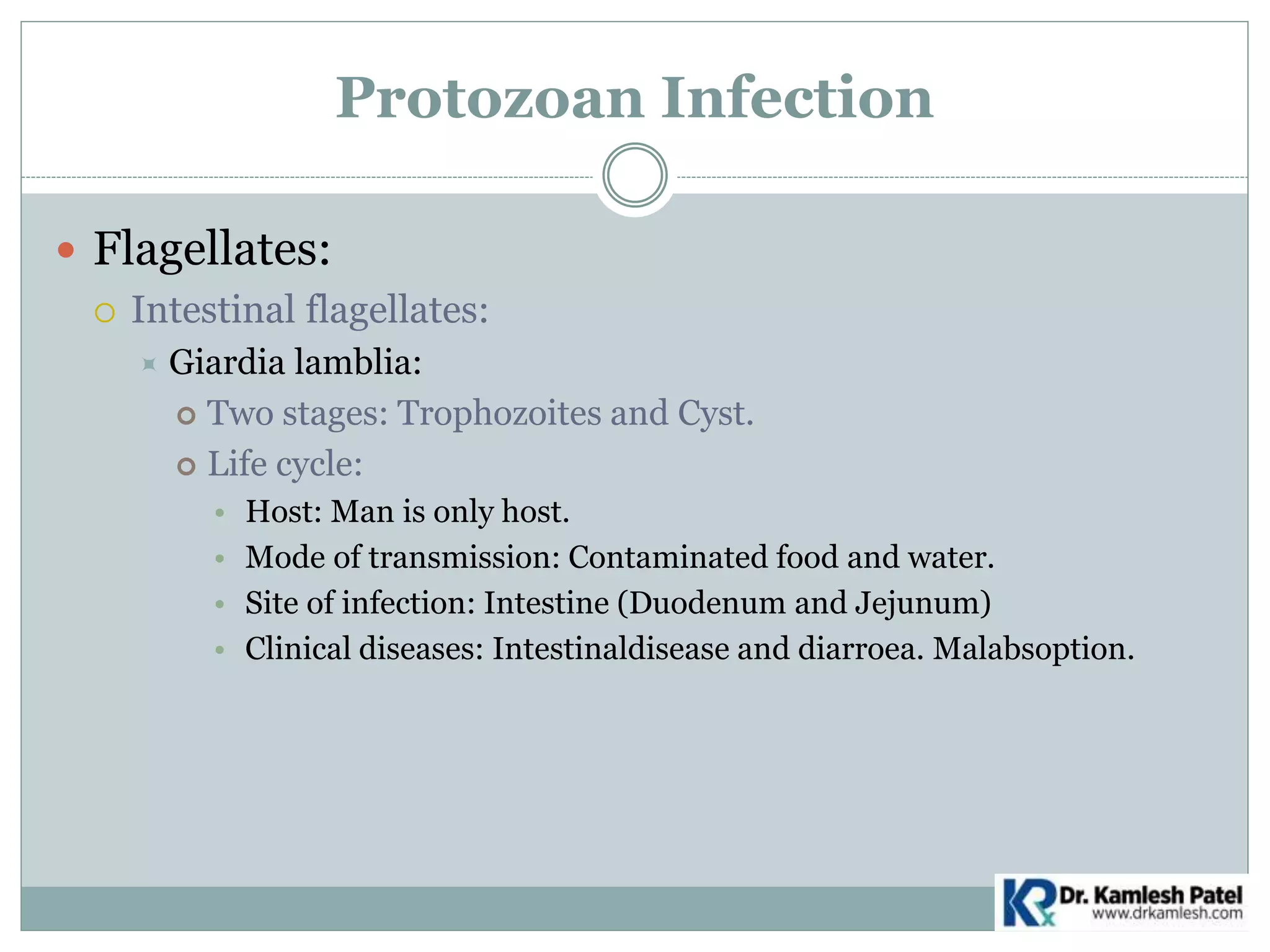 General parasitology | PPTX