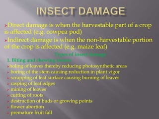 Agricultural Entomology | PPTX
