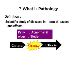 General Pathology.ppt salem f gerbadipathologybadi | PPT