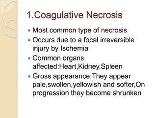 General pathology necrosis | PPTX