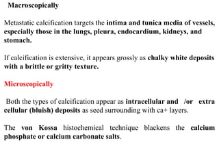GENERAL PATHOLOGY Calcification hhkgg.ppt