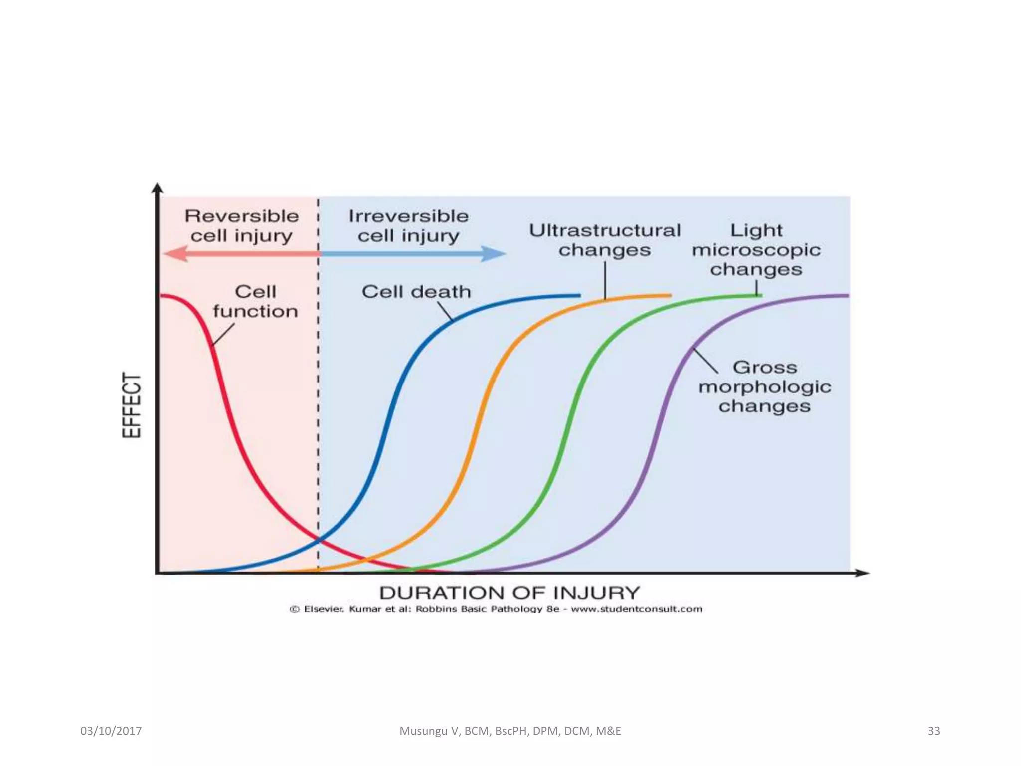 General pathology lecture | PPTX | Heart and Cardiovascular Diseases ...